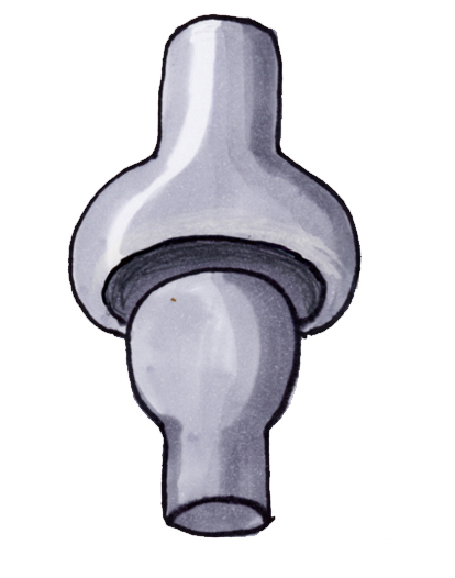 Aufbau und Funktion von Gelenken - lernen mit Serlo!